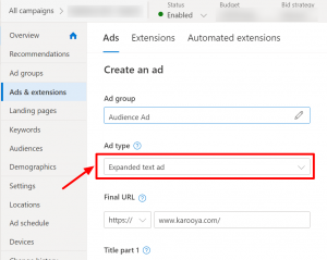 How to Set Up Audience Ads in Microsoft Ads - Karooya